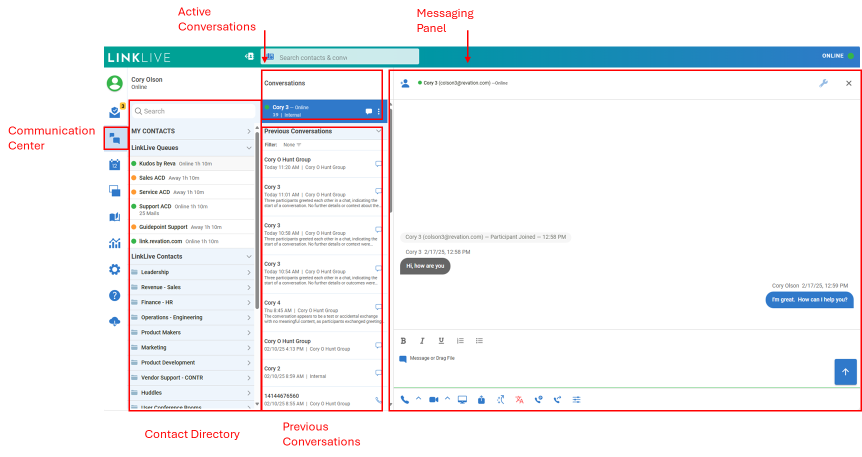 Using LinkLive Conversations
